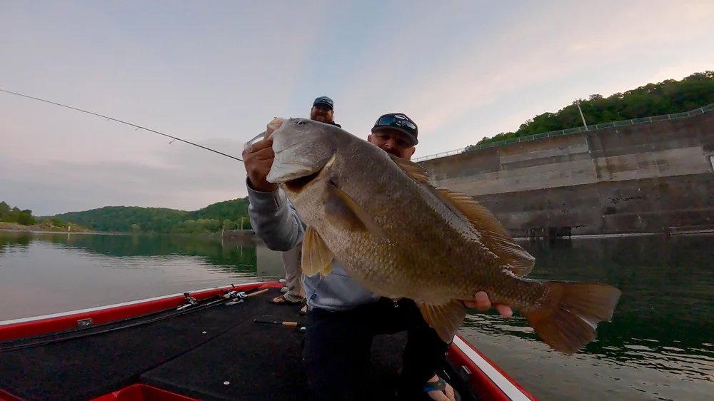Multi Species Madness Fishing At The Dam! — Tactical Bassin' - Bass ...