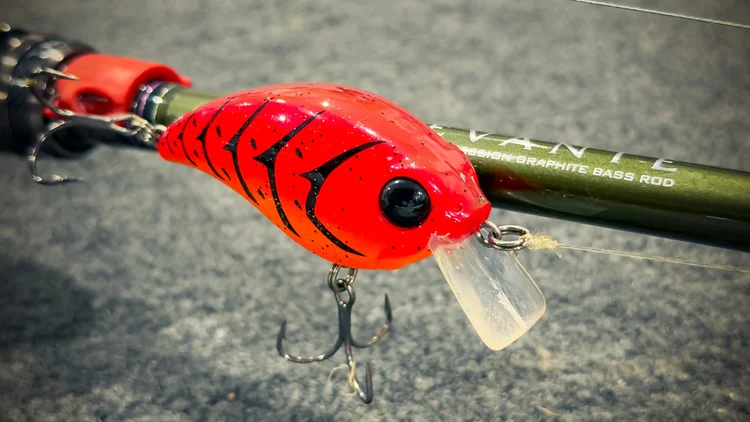 The Best Fishing Rod For Every Technique! ( Budget To High End ...