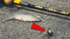 Free Rig Fishing For Bass! Tips And Tricks To Catch More Fish This Fall ...