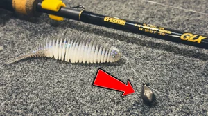 Free Rig Fishing For Bass! Tips And Tricks To Catch More Fish This Fall ...