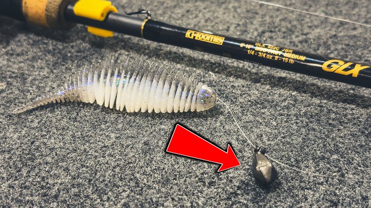 Free Rig Fishing For Bass! Tips And Tricks To Catch More Fish This Fall ...