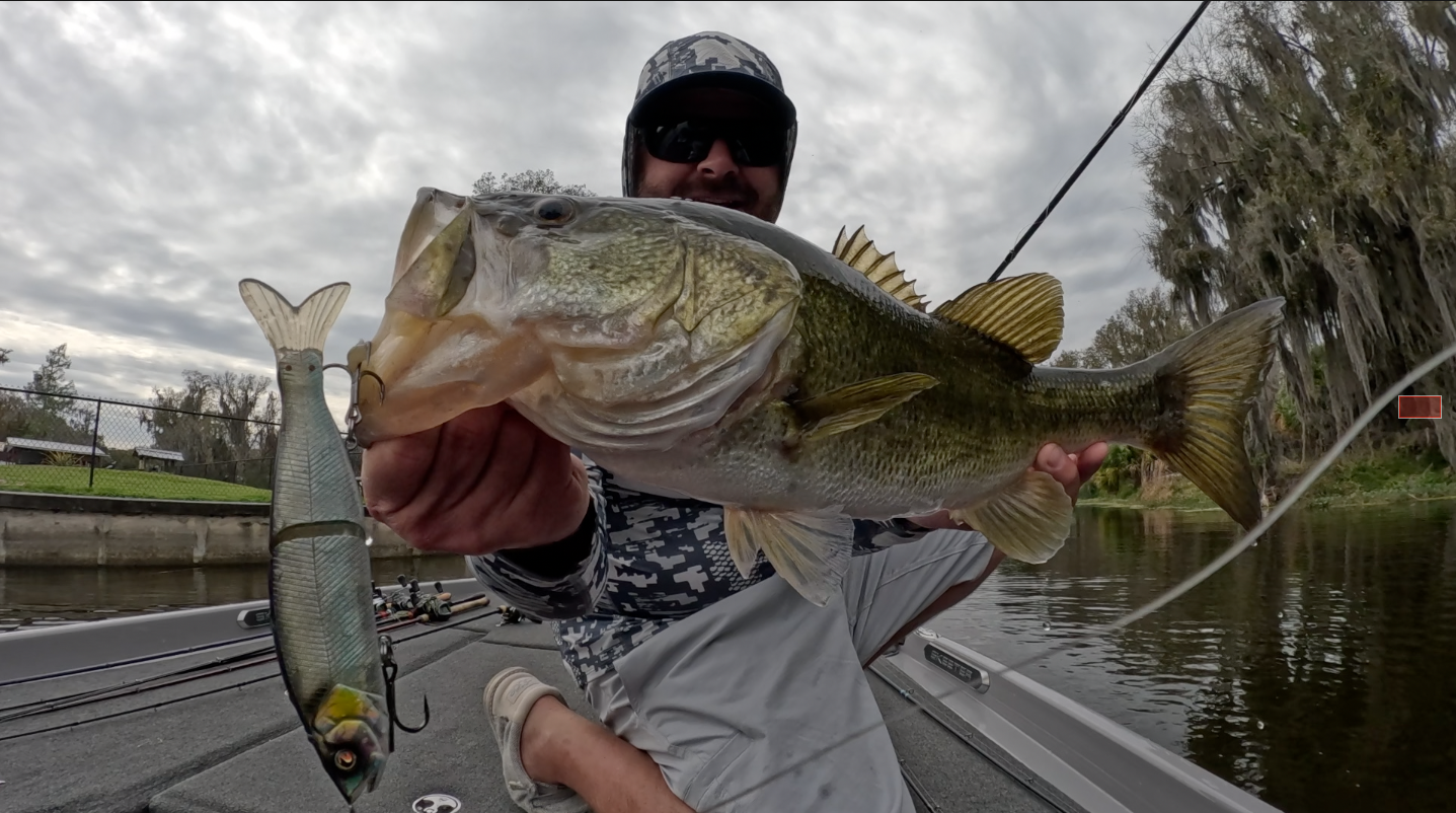 Top 5 Baits For May Bass Fishing! — Tactical Bassin' - Bass Fishing Blog
