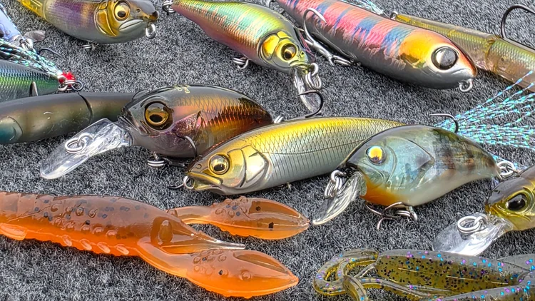 2025 BUYER'S GUIDE: Best BFS Baits (Micro Hard Baits And Soft Baits For ...