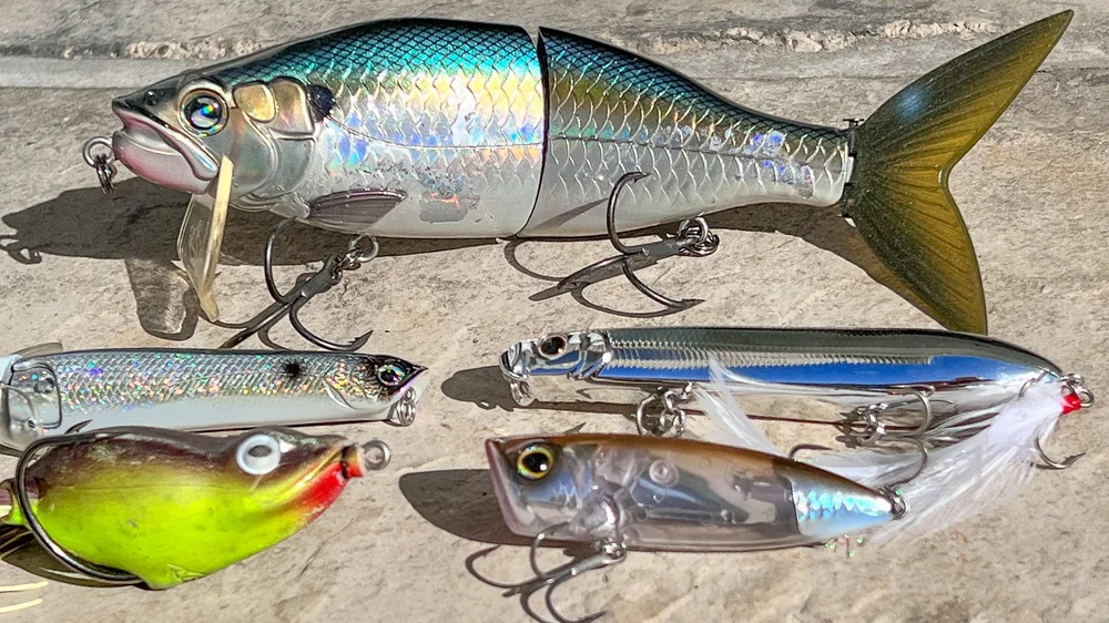 The Best Topwater Lures For Spring And Summer Bass Fishing! — Tactical ...