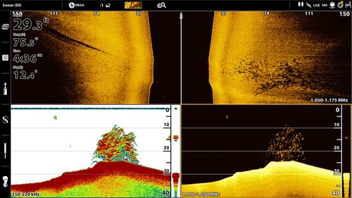 Bass Boat Electronics Explained! How To Use Electronics and What Fish ...