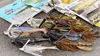 BUYER'S GUIDE: JIGS AND JIG TRAILERS! — Tactical Bassin' - Bass Fishing ...