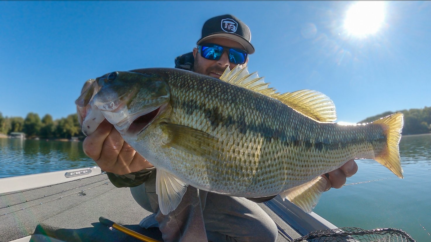 Where Do Bass go in Fall??? (And The Best Baits To Catch Them) — Tactical Bassin' - Bass Fishing ...