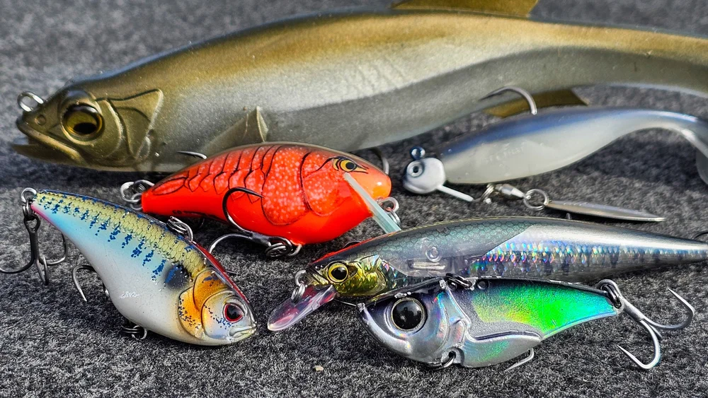 Top 5 Baits For February Bass Fishing! — Tactical Bassin' - Bass ...