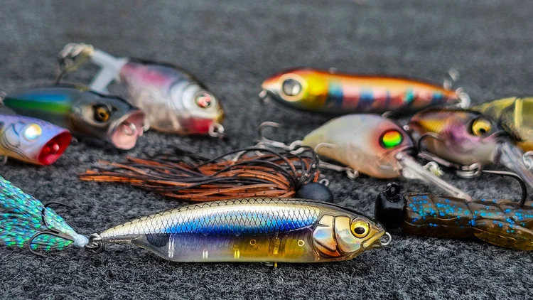 BUYER'S GUIDE: BAIT FINESSE BAITS (SOFT AND HARD BAITS FOR BFS FISHING ...