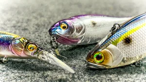 Where Do Bass Go In The Fall?! (And How To Catch Them) — Tactical Bassin' - Bass Fishing Blog