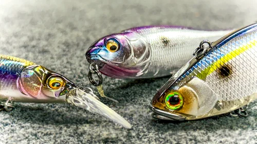 Where Do Bass Go In The Fall?! (And How To Catch Them) — Tactical Bassin' - Bass Fishing Blog