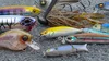 Where Bass Go During The Fall Transition ( And The Baits To Catch Them ) — Tactical Bassin ...