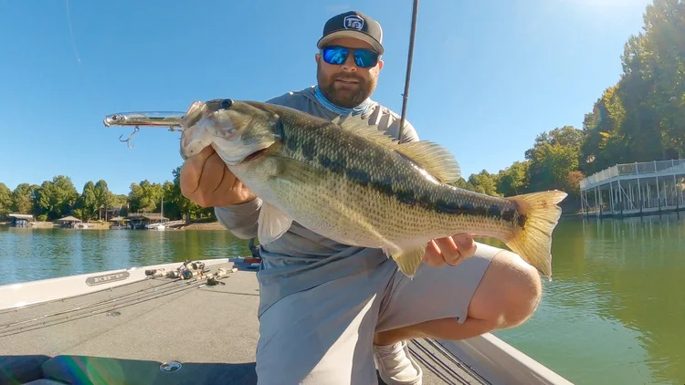 Where Do Bass Go In Fall? (And The Best Tricks To Catch Them) — Tactical Bassin' - Bass Fishing Blog
