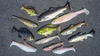 BUYER'S GUIDE: Best Soft Swimbaits | Boot Tail, Wedge Tail, Line Thru, and Bluegill Swimbaits ...