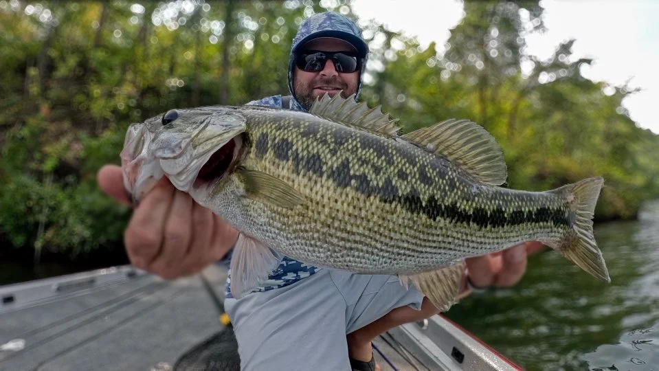 The TRUTH About Bass Fishing The Fall Transition! — Tactical Bassin ...