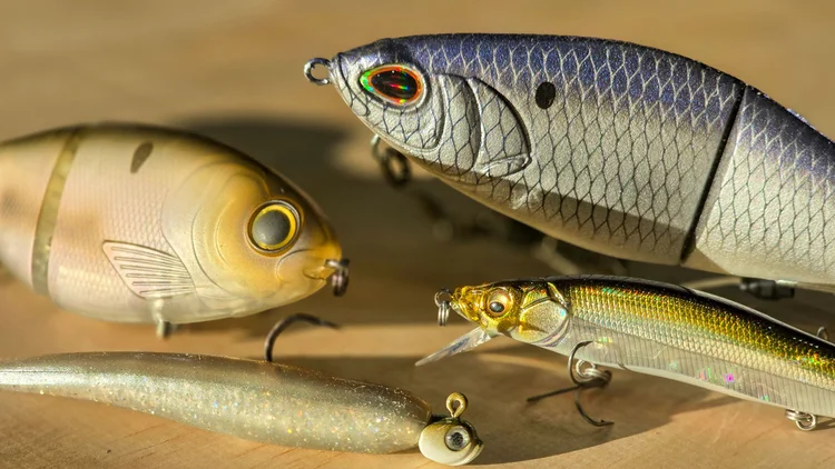 These 2 Baits Catch Big Bass In January! (Day On The Water With Matt ...