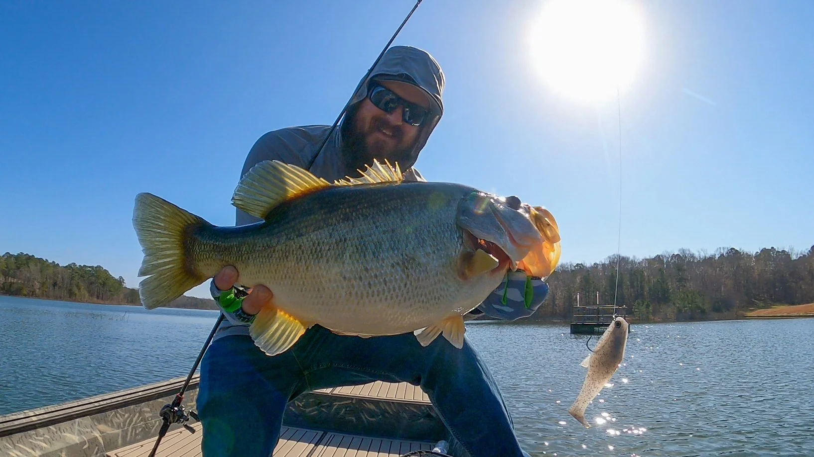 Swimbait Fishing Is EASY! Spring Bass Fishing For BIG Bass! — Tactical ...