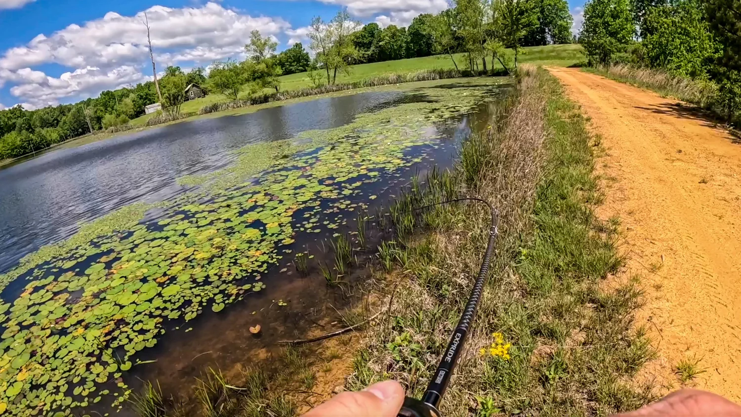 Top 5 Baits For Pond Fishing! — Tactical Bassin' - Bass Fishing Blog