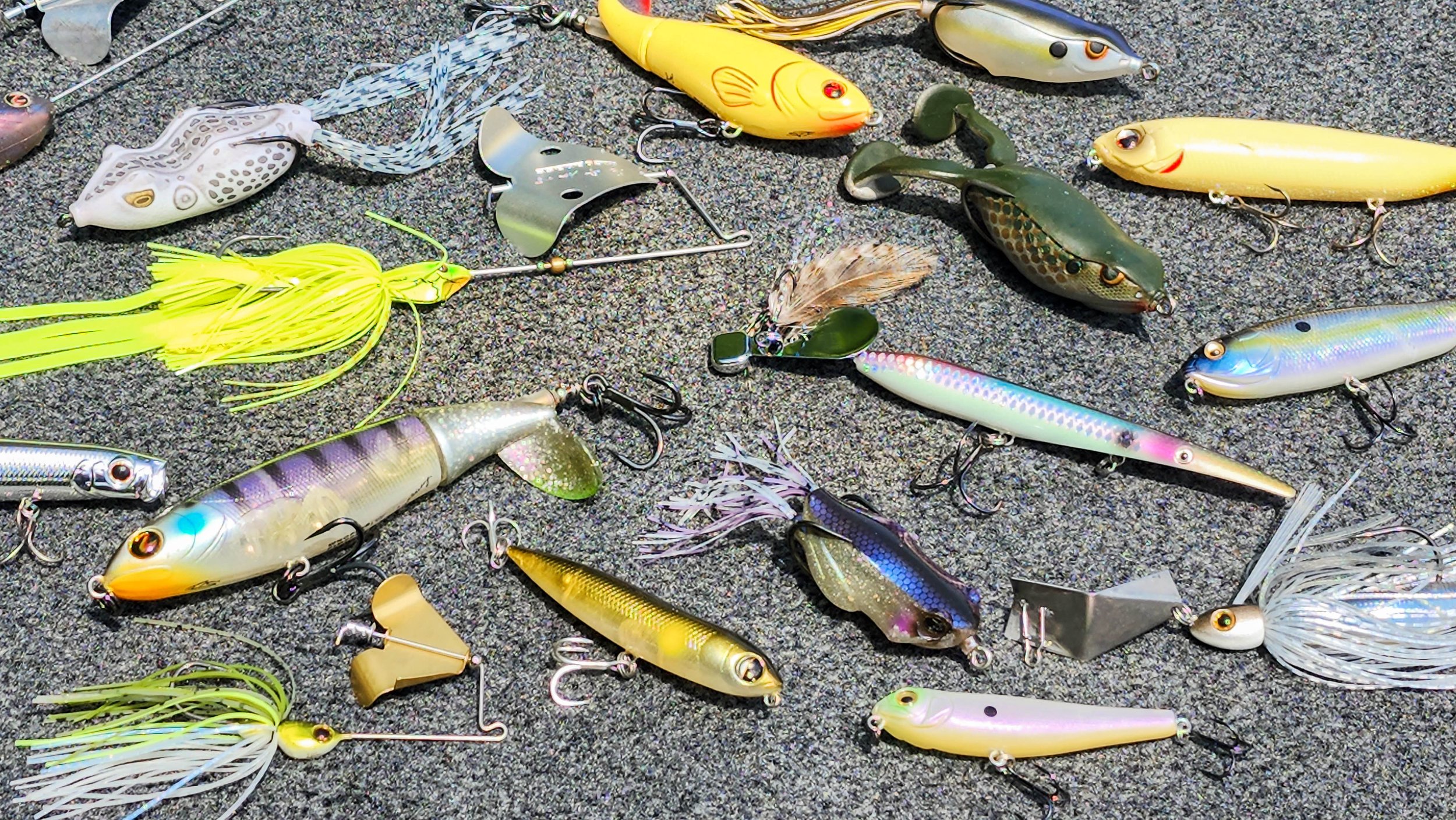 Don't Miss The Best Topwater Bite Of The Year! (Late Summer Topwater ...