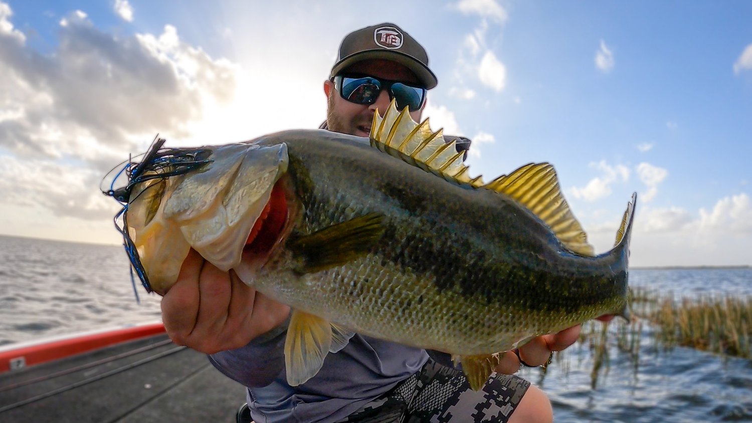 Swim Jig and Chatterbait Tips For Prespawn Bass In The Shallows ...