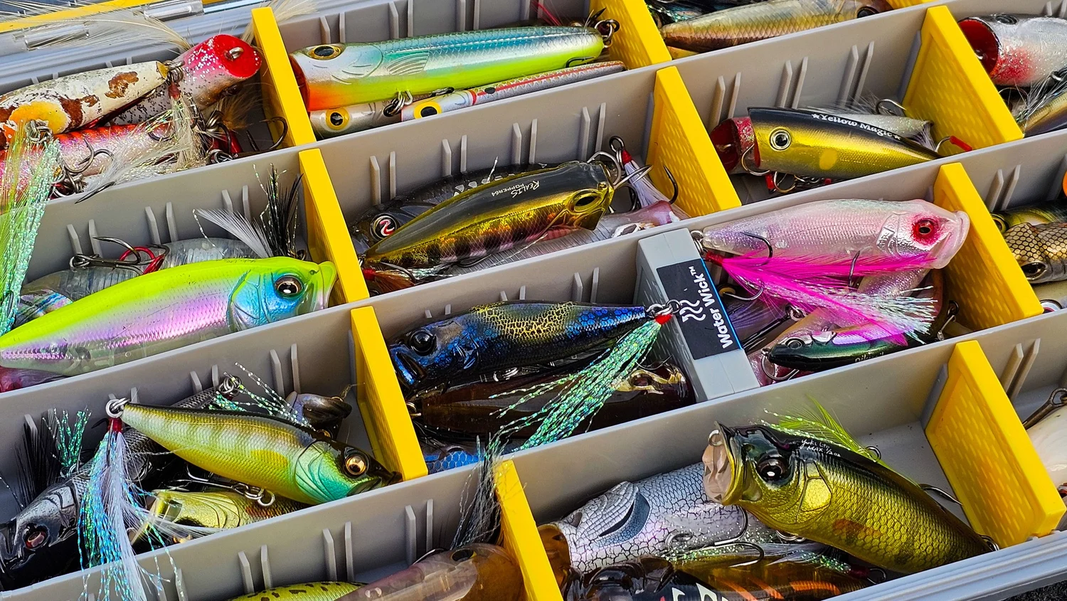 Popper Fishing Tricks! Catch More Bass With This Overlooked Topwater ...