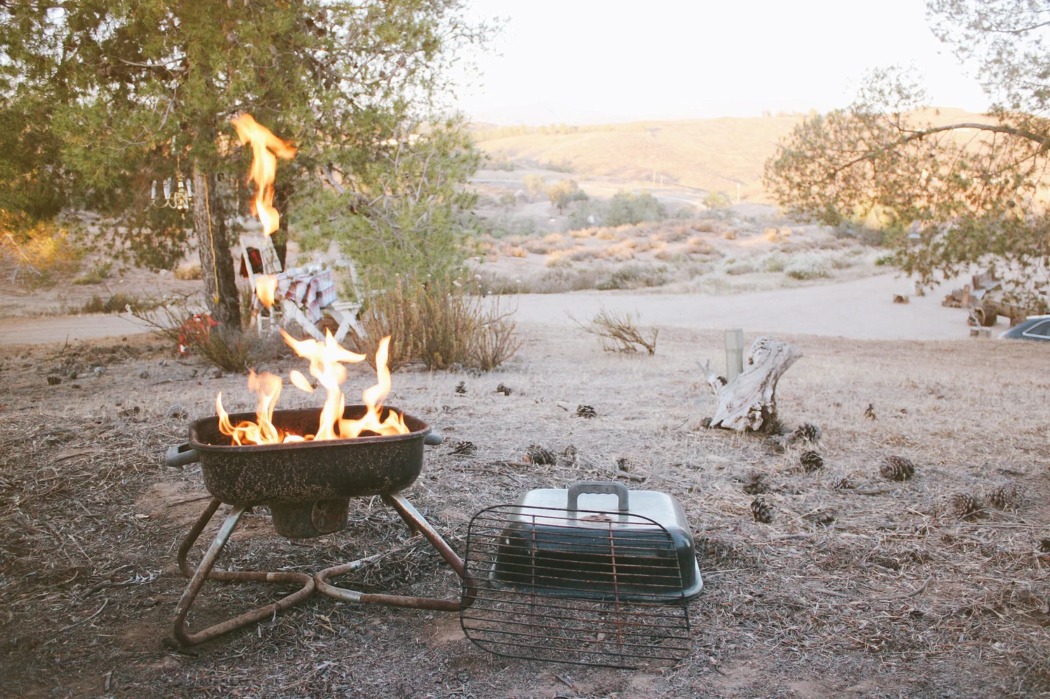 Girl's Night Outside in The Intrepid Wild - Wolf. Feather. Honey. Farm ...