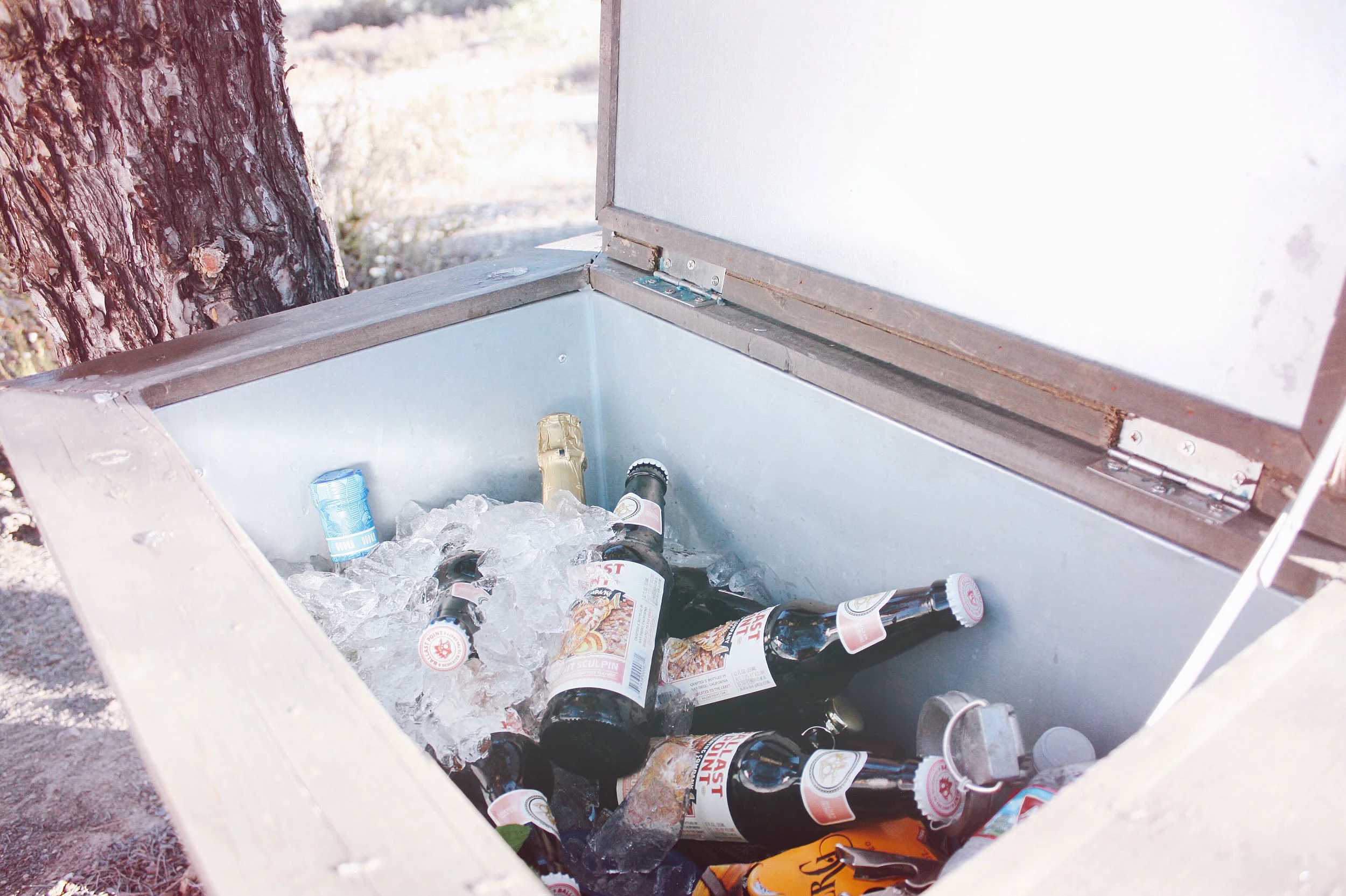 Girl's Night Outside in The Intrepid Wild - Wolf. Feather. Honey. Farm ...