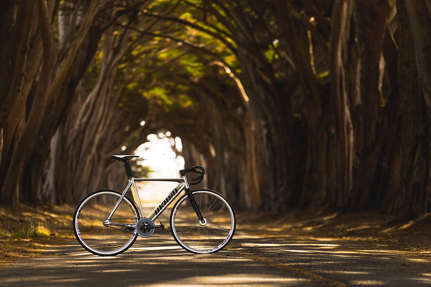 Unknown Bike Co