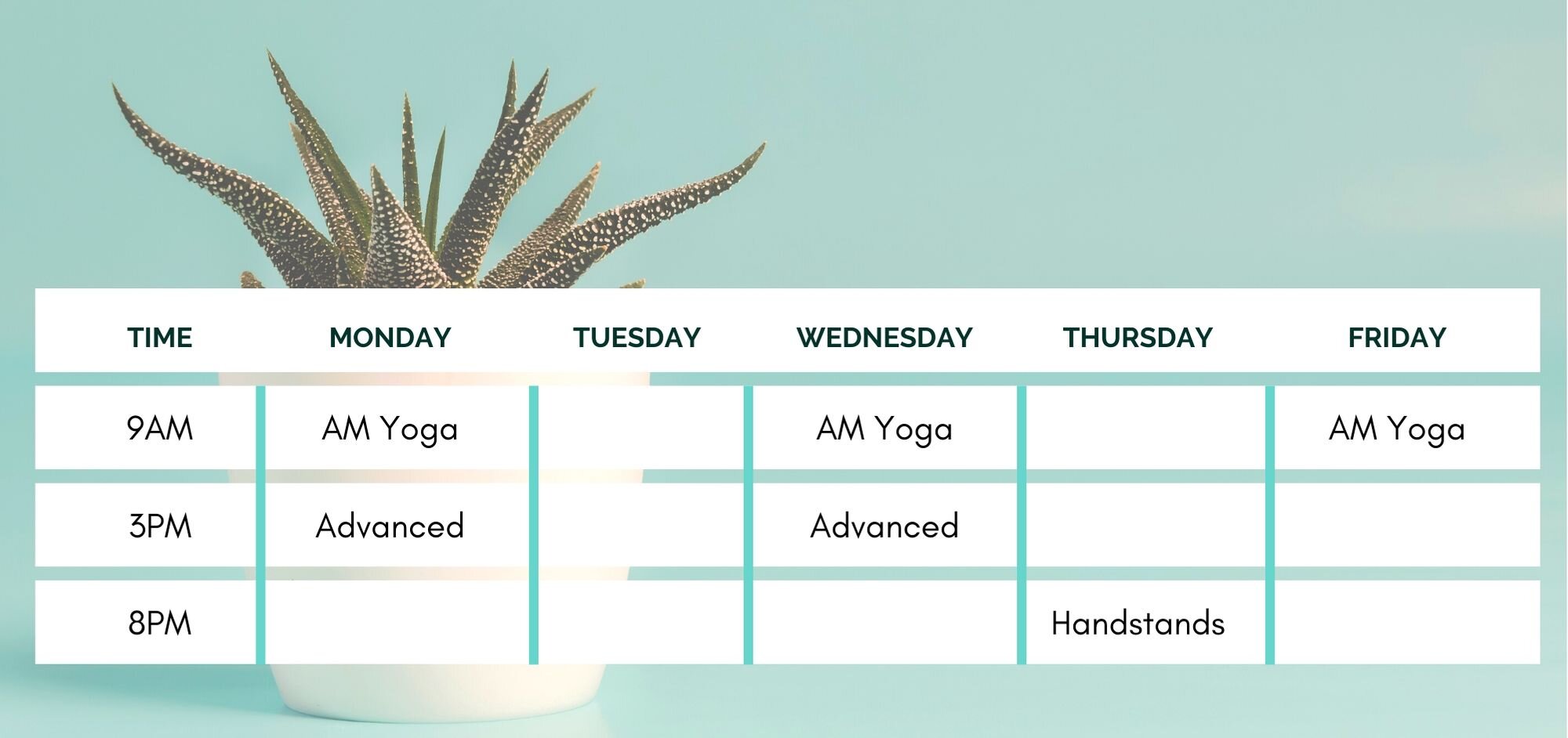 FAQ — KAIZEN KOREA