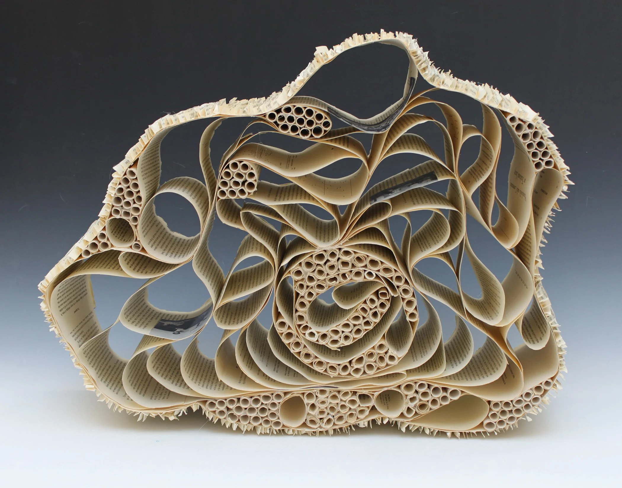 Object Transformation Art