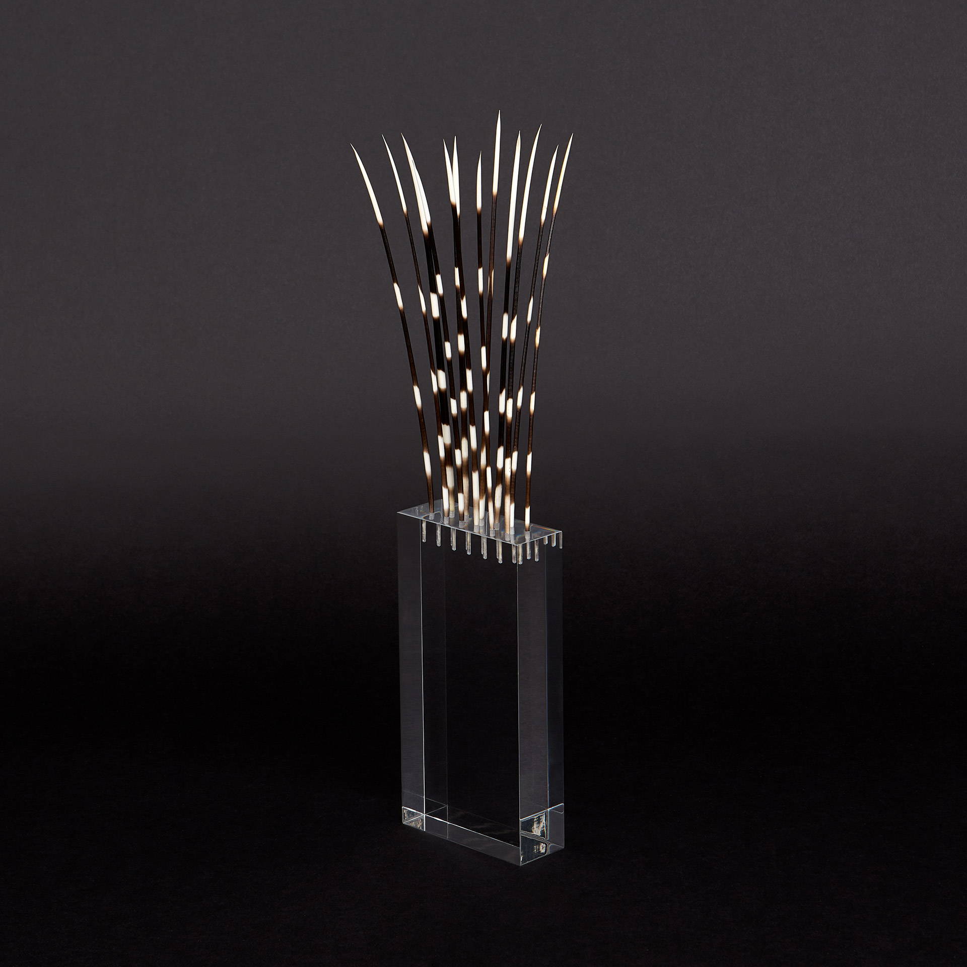 OBJECTS — STUDIO SVEN