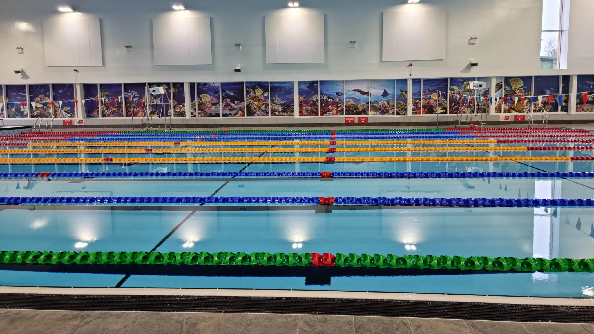 Poolview - It's just another new build Monday! — Poolview Limited