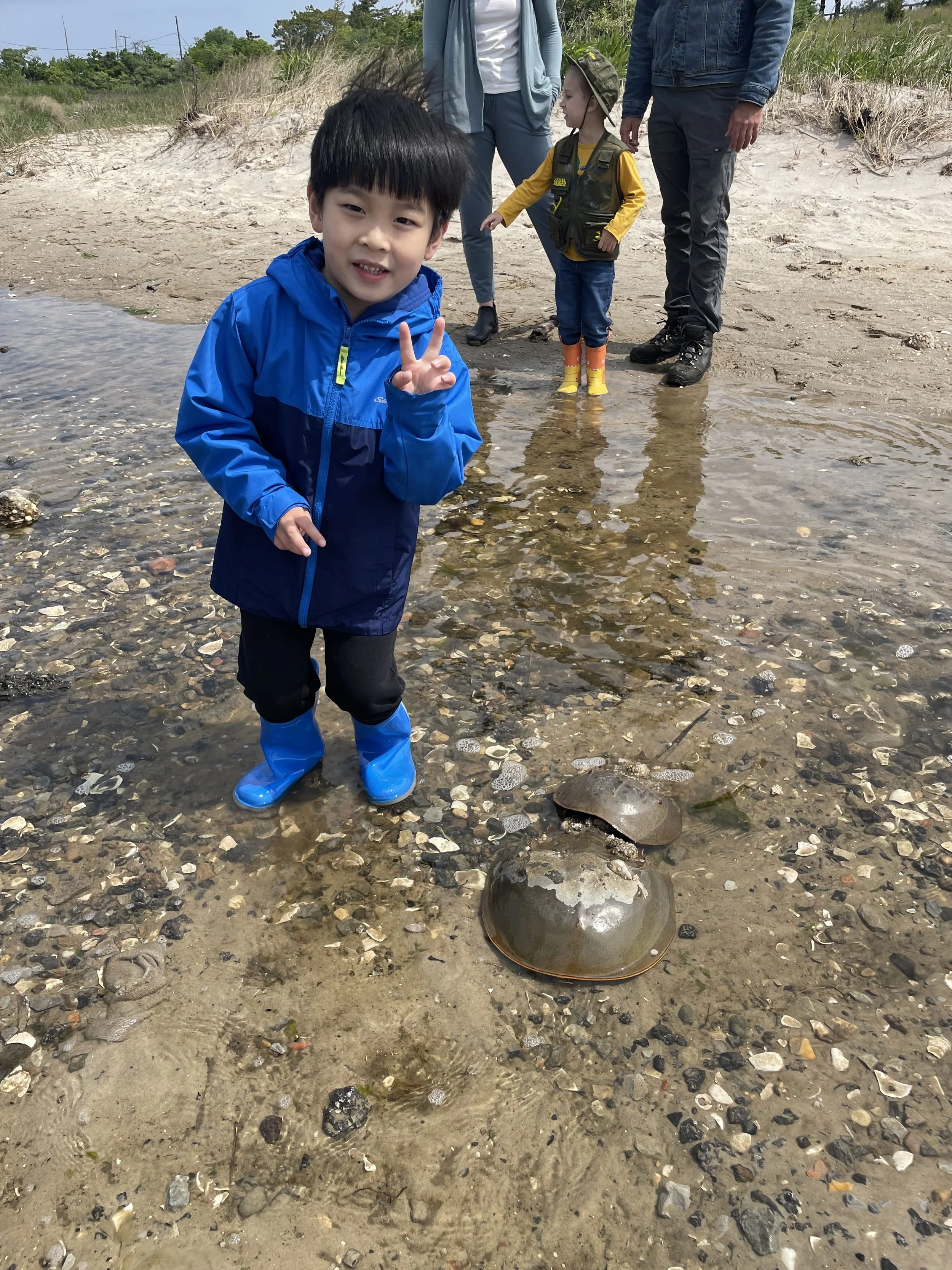 Park Pals — Jamaica Bay-Rockaway Parks Conservancy