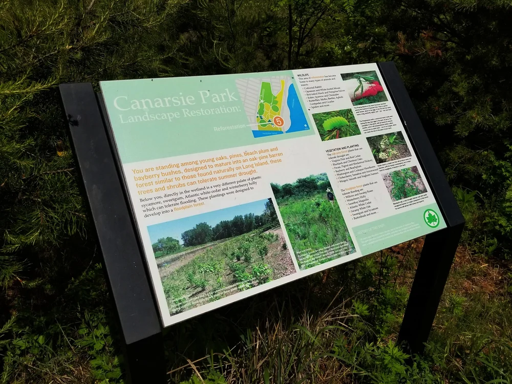 Canarsie Park & Pier Improvements — Jamaica Bay-Rockaway Parks Conservancy