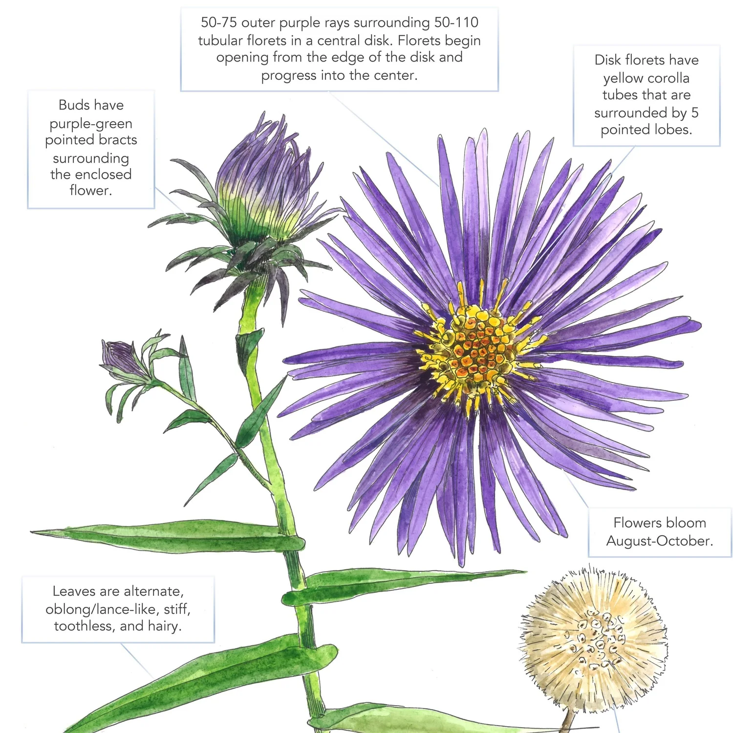 Visit Our Parks — Jamaica Bay-Rockaway Parks Conservancy