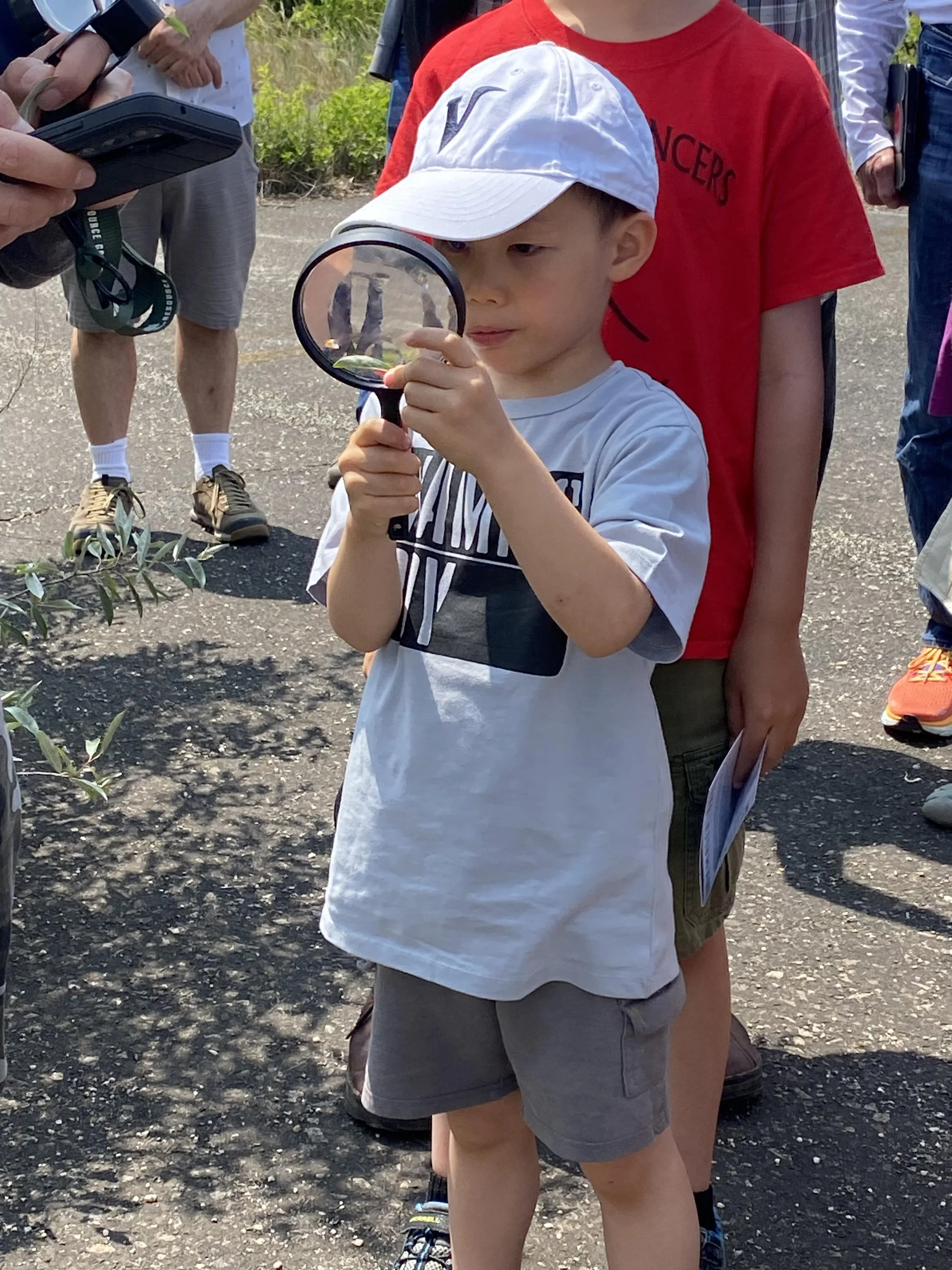 Park Pals — Jamaica Bay-Rockaway Parks Conservancy