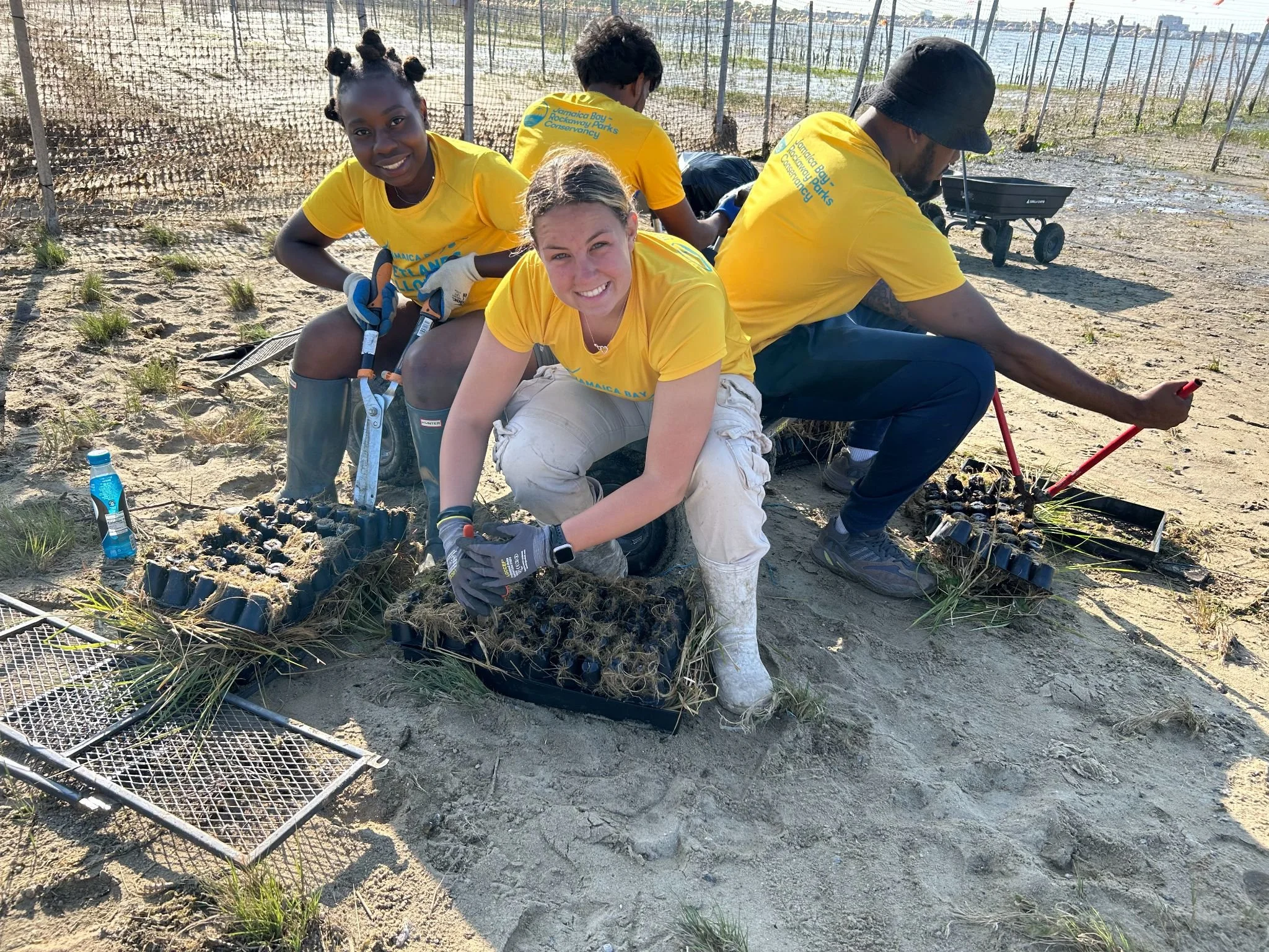 Jamaica Bay Wetlands Fellowship — Jamaica Bay-Rockaway Parks Conservancy