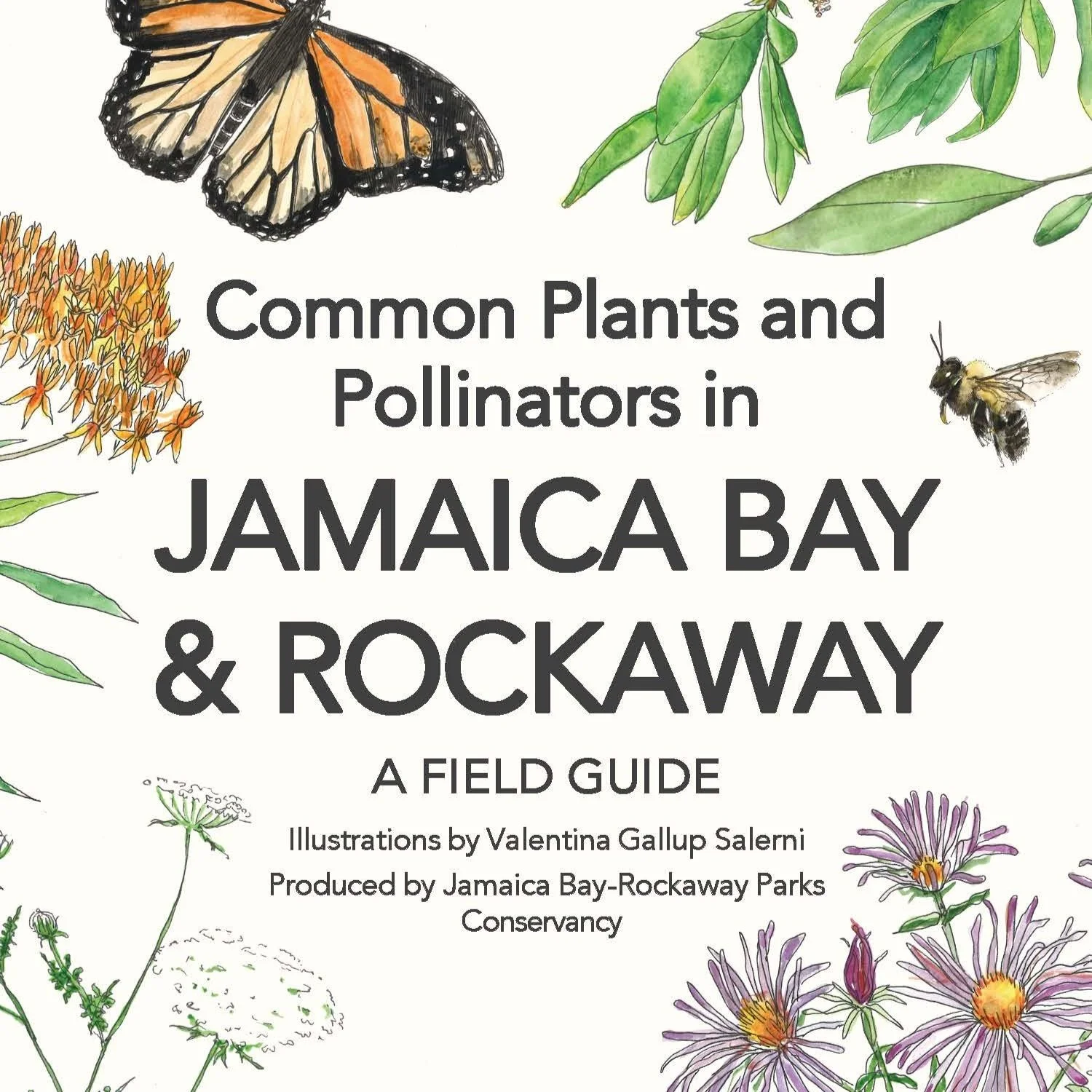 Explore Online — Jamaica Bay-Rockaway Parks Conservancy