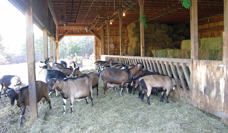 Rawson Brook Farm — BERKSHIRE FOOD + TRAVEL