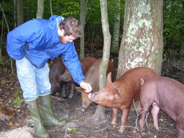 Blue Hill Farm — BERKSHIRE FOOD + TRAVEL