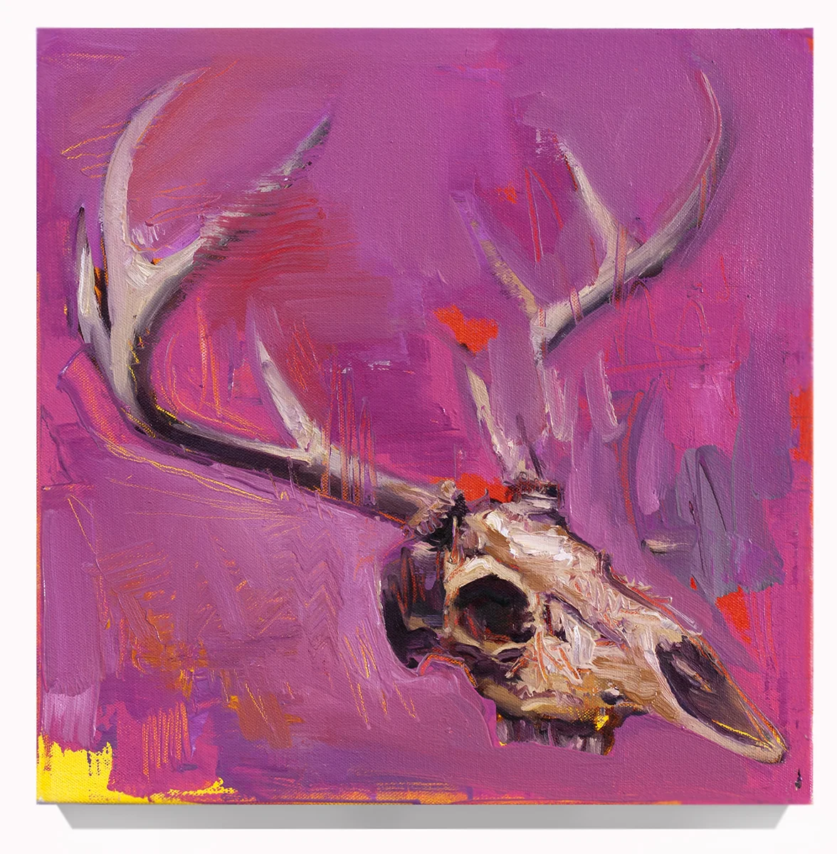 2017 — Jared Weiss