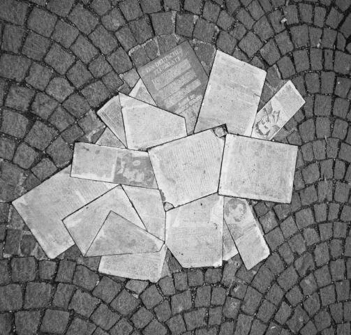The White Rose Society--Hans and Sophie Scholl — T. Frohock