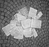 The White Rose Society--Hans and Sophie Scholl — T. Frohock