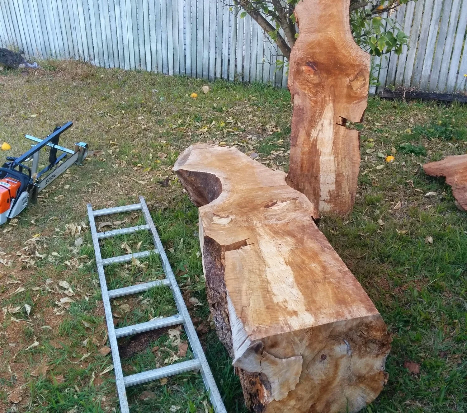 Timber Milling — Potter and Wood