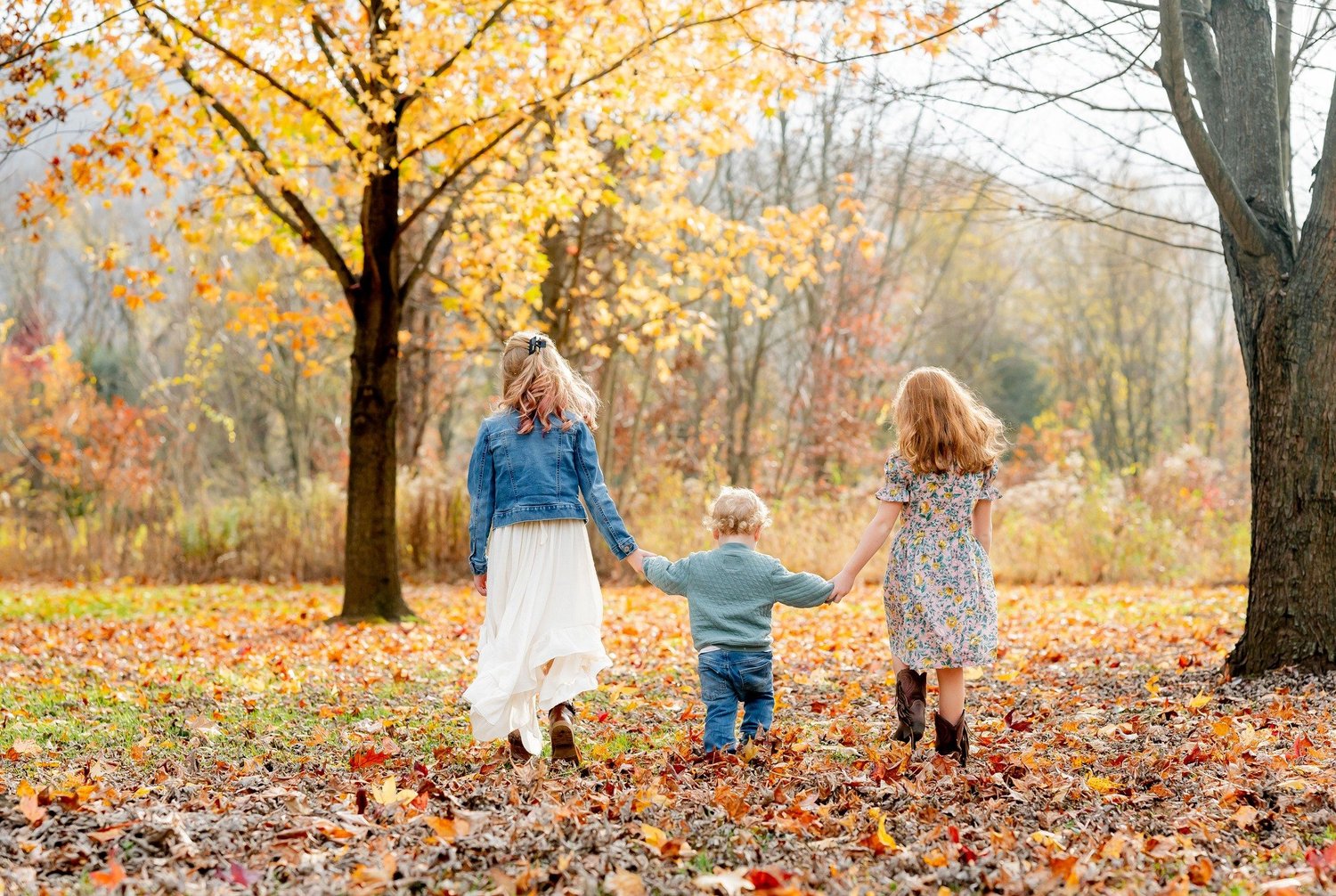 Amy Brink Photography : Williamsport, PA Family and Senior Photographer