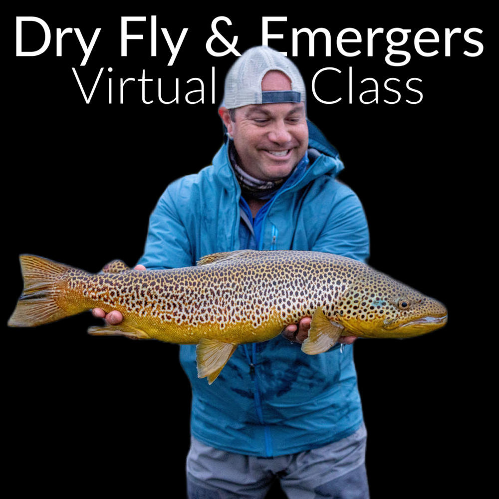 Virtual Classes — Trout & Feather