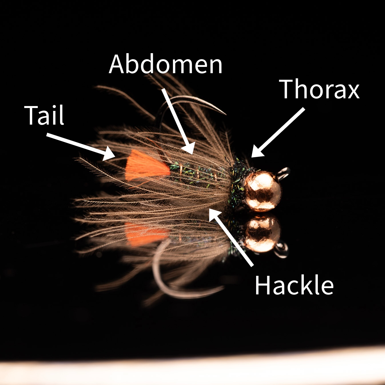 Fly Tying Techniques: Essential Methods, Tips & Step-by-Step Tutorials ...