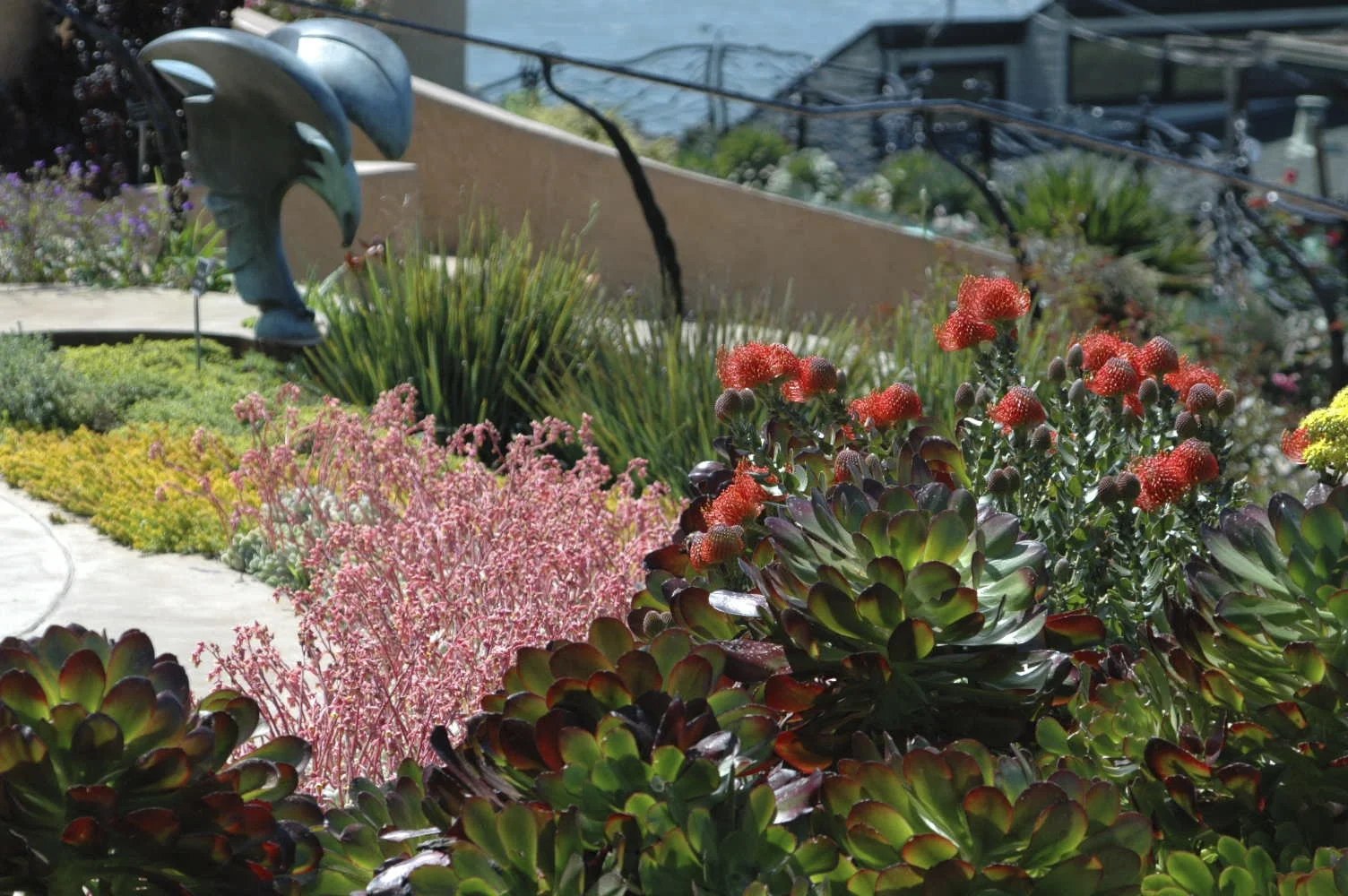 The Wave Garden — dig-it Landscape Design