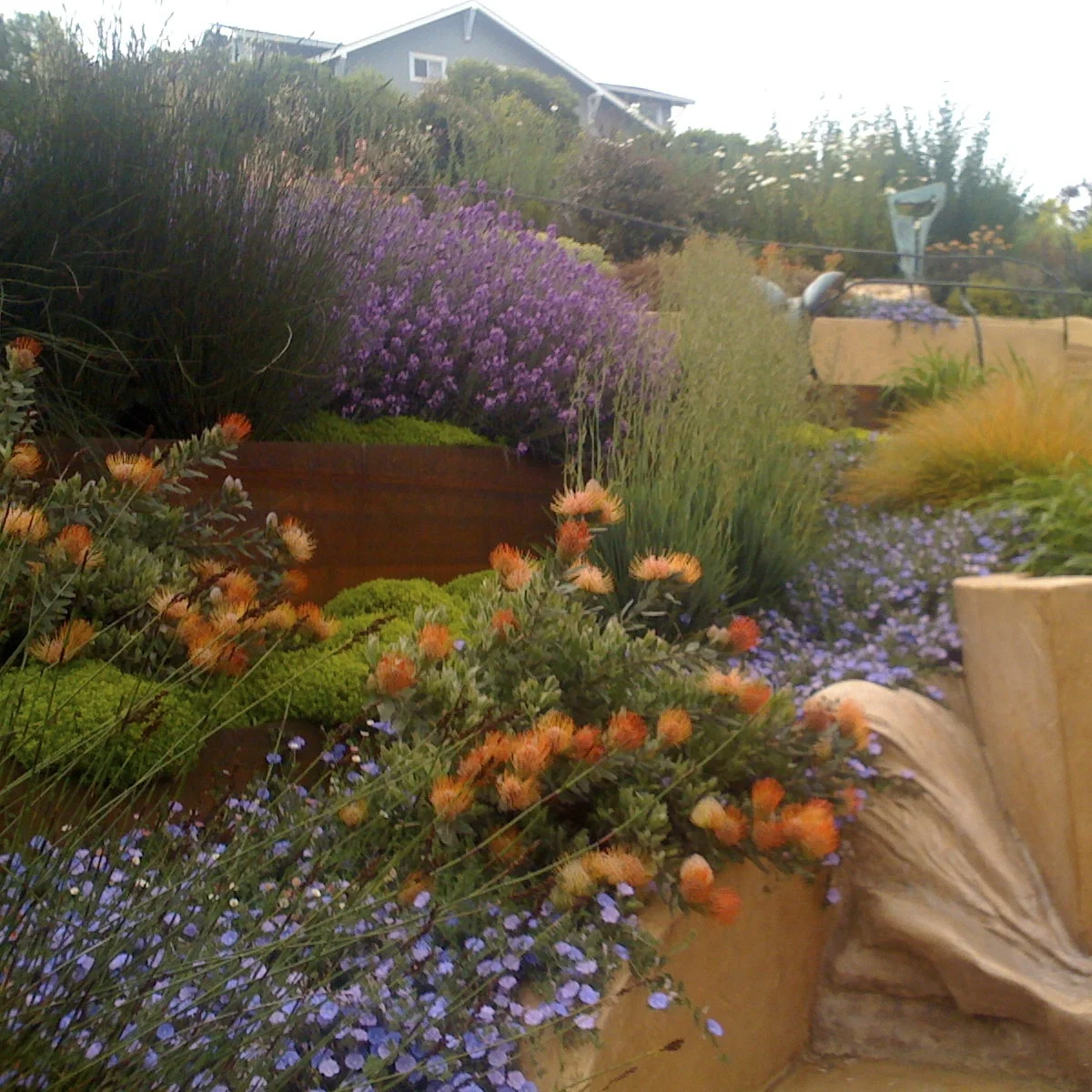 The Wave Garden — dig-it Landscape Design