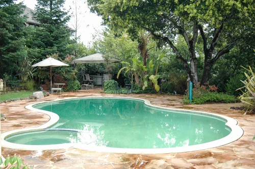 Del Monte — CHS Development Group